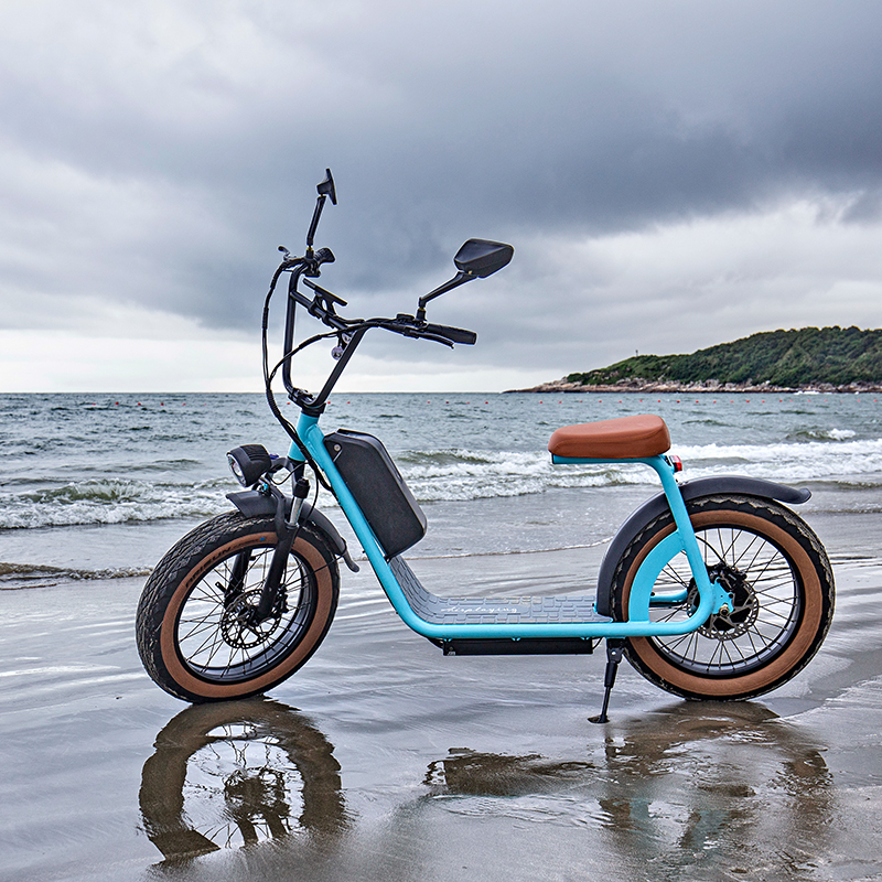 Electric Scooter Removable Battery for Outdoor Adventures